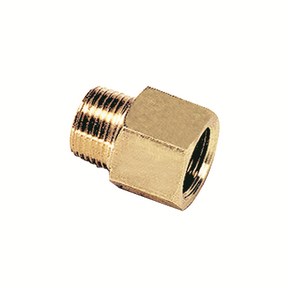 Legris - adapter - 1/2" - NPT/BSPP - 0164 22 21